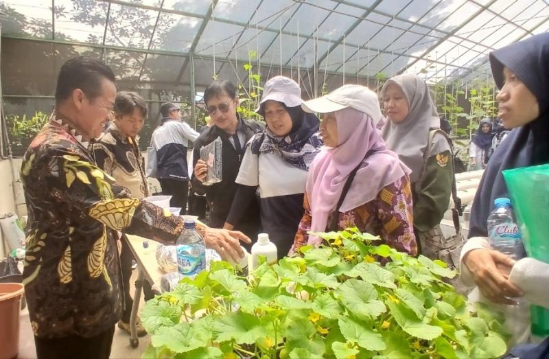 Tingkatkan Produktivitas Hortikultura, Kementan Edukasi Petani Gresik ...